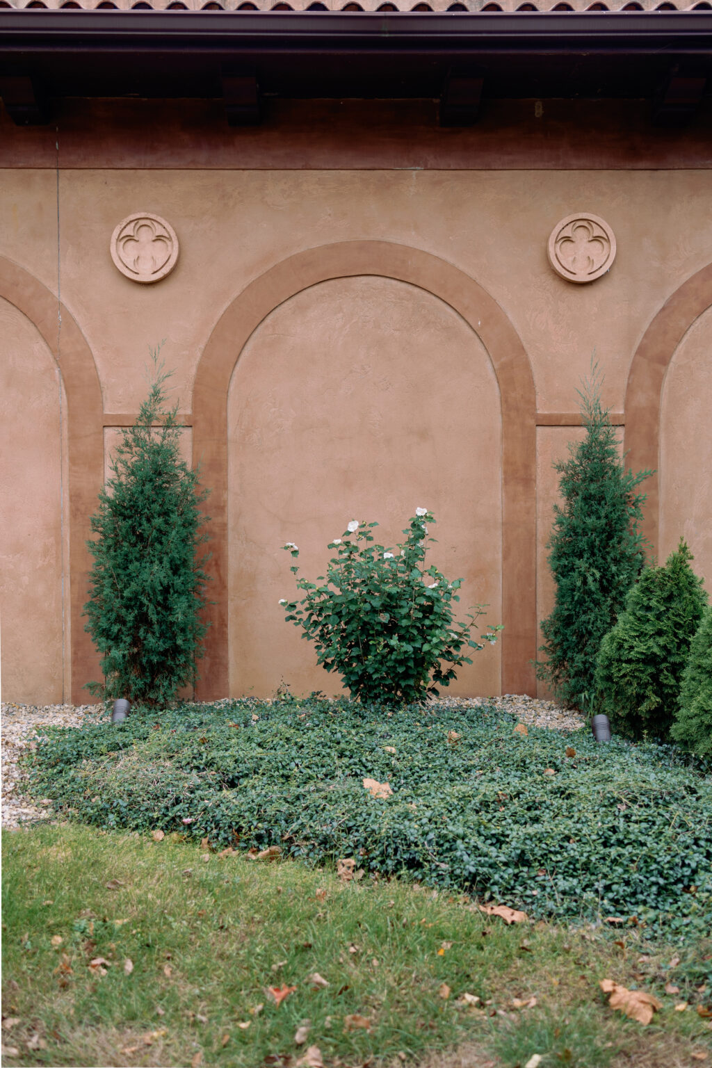 The Bridals You Want - Jess René